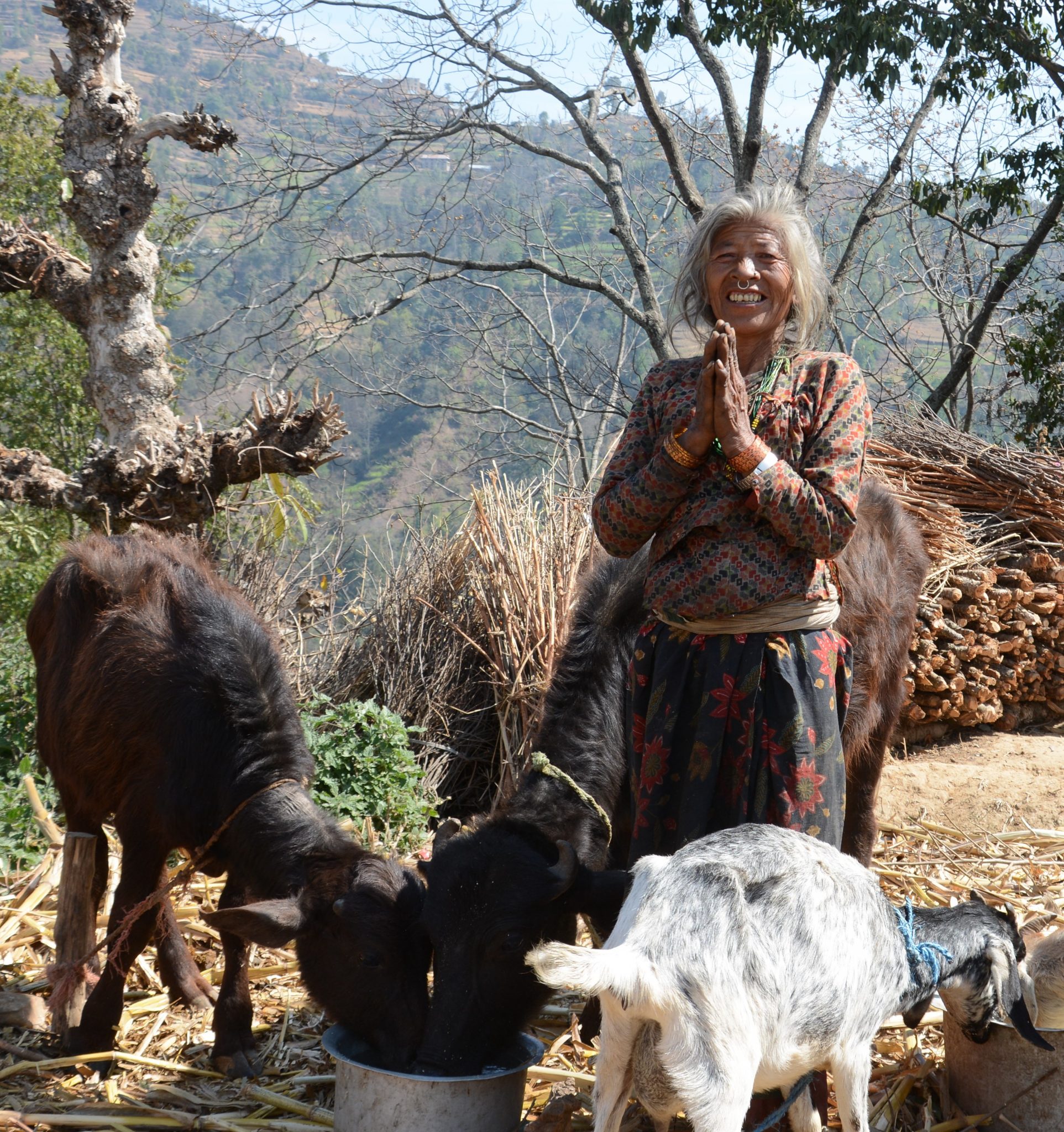 The JTI Foundation – Helping to build safe, sustainable and resilient communities