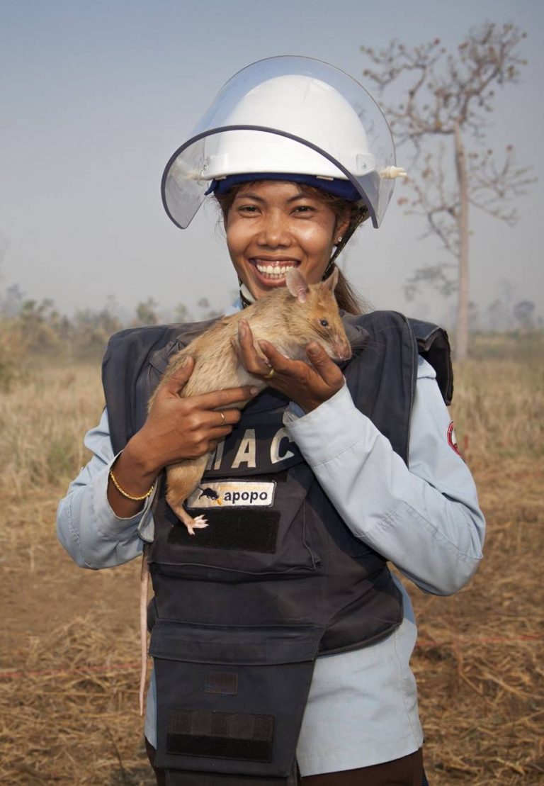 The JTI Foundation – Helping to build safe, sustainable and resilient communities